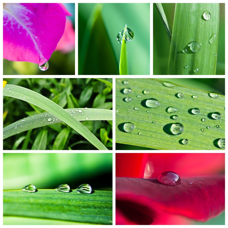 Green collage stock photo. Image of greenish, green, flowers - 18219104