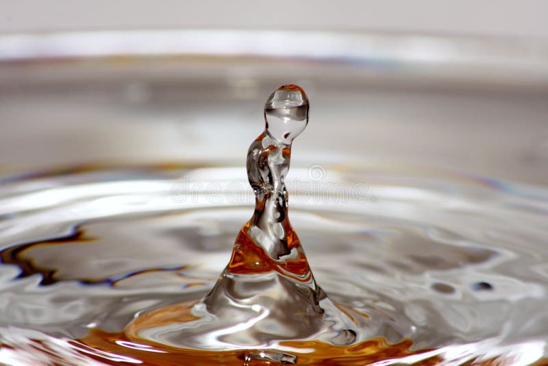Water Drops stock photo. Image of clear, raindrop, drop - 91407278