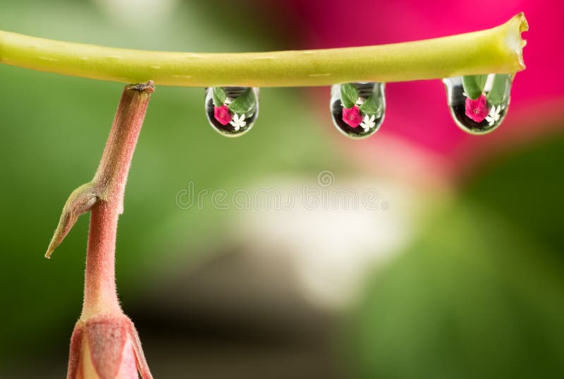 Water drops drying rack stock photo. Image of clothesline - 126573878