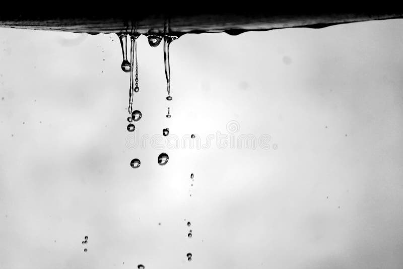 Water drops falling stock photo. Image of drops, beautif - 161903556