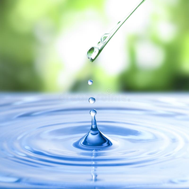 Water Drops Falling from Grass Blade into Water on Sunny Day. Ecology ...