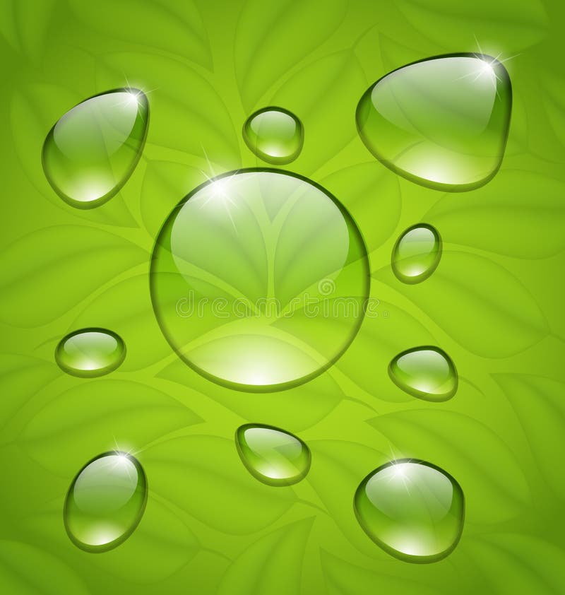 Water Drops on Fresh Green Leaves Texture Stock Vector - Illustration ...