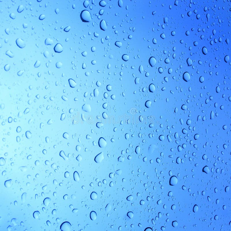 Wild Animals Icon Set #1 stock vector. Illustration of wild - 14225114