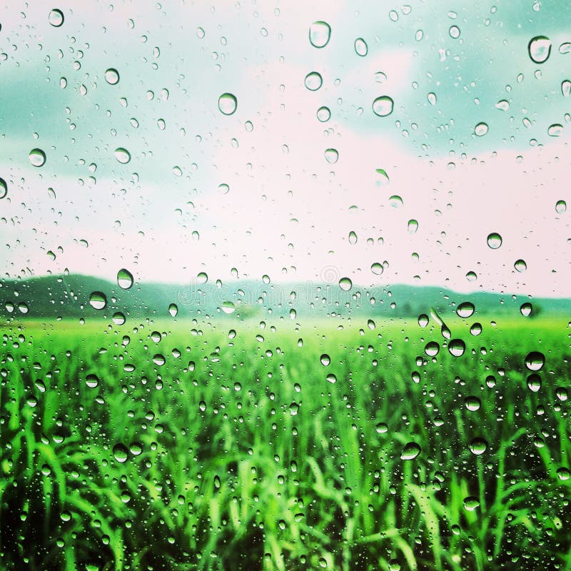 Rain Drops in the Water, Effect Filter Stock Image - Image of ...