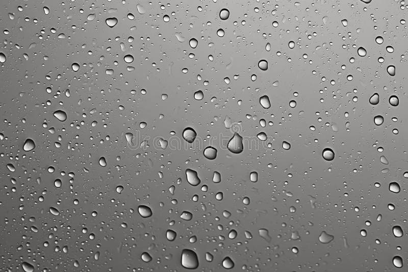 Water Drops on a Gray Background Stock Photo - Image of gray, taking ...