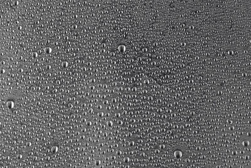 Water Drops on Gray Background Stock Image - Image of healthy, liquid ...