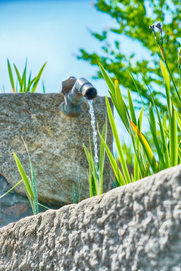 Water Drops with High-speed Flashes and Automatic Drip Photographed in ...