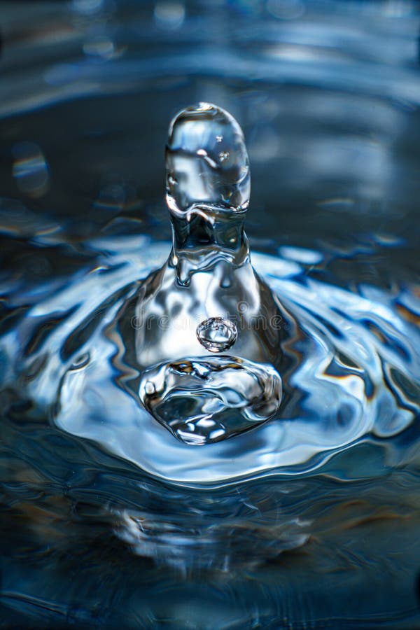Water drops stock photo. Image of splashing, water, transparent - 239828702