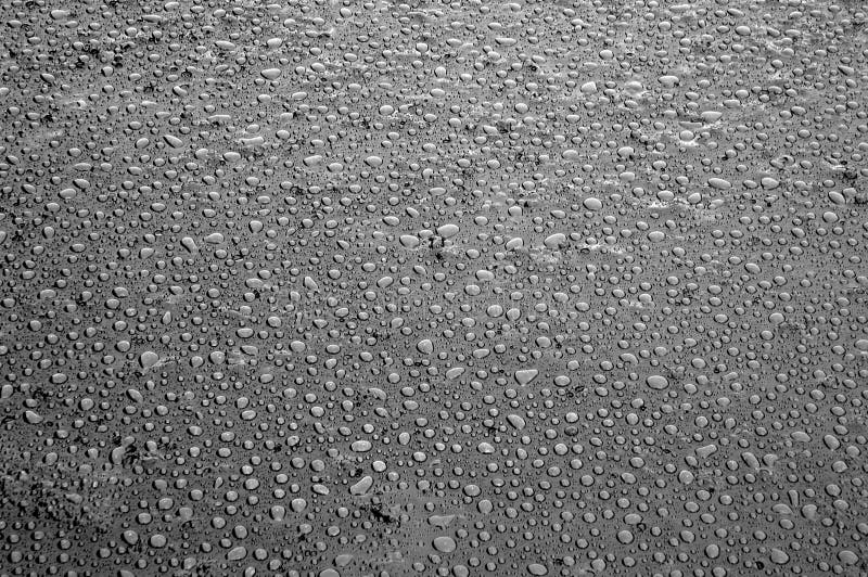 Water Drops on the Oil Surface Stock Photo - Image of drop, outdoor ...