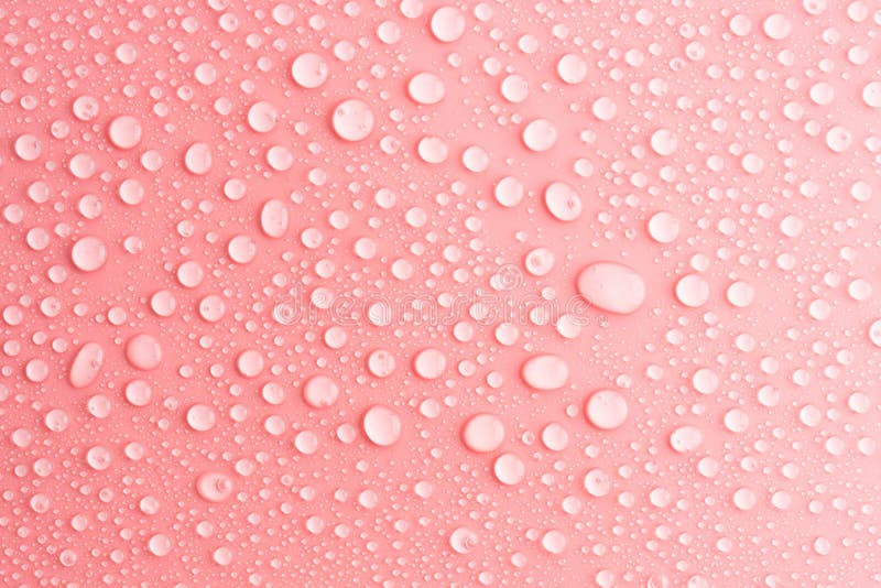 Water Drops Pink Background Stock Image - Image of liquid, surface ...