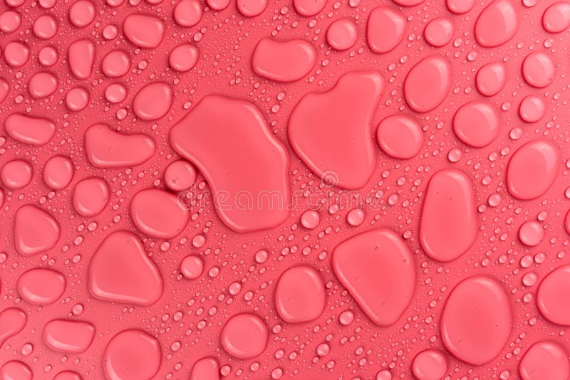 Water Drops on a Pink, Matte Background Illuminated with a Delicate ...