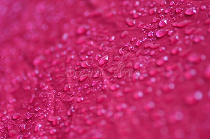 Water Drops on Pink Surface Stock Image - Image of environment ...