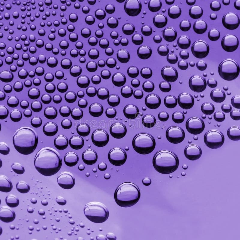 Purple Color and Plum Color Mixture Effects Gradient Color Elephant ...