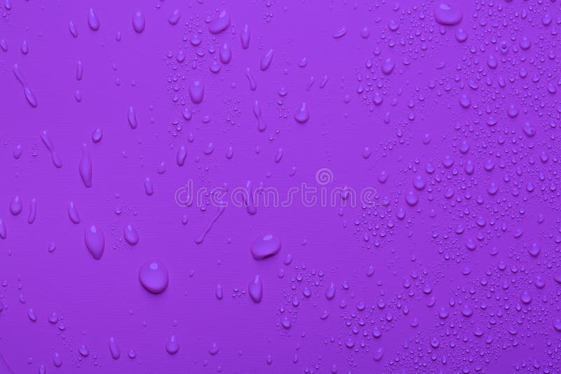 Water Drops on Purple Color Surface Stock Photo - Image of droplet ...