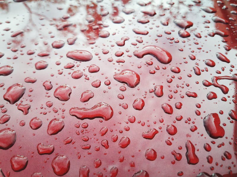 Water Drops on Red Background Stock Image - Image of water, liquid ...