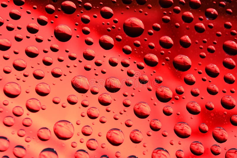 Water Drops on Red Background Stock Photo - Image of raindrop, liquid ...