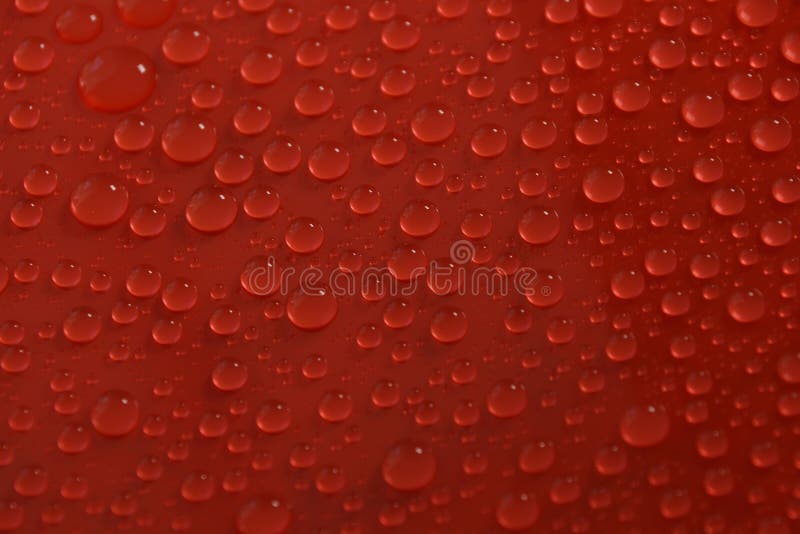 Green Young Apple Leaf And Water Drops On Red Background Ecology Stock ...