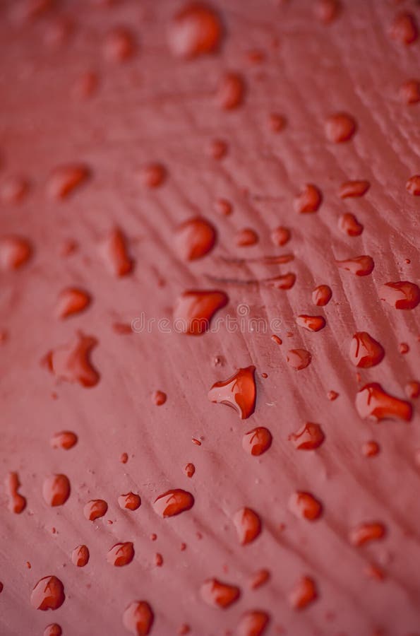 Water drops on red surface stock image. Image of textured - 40122377