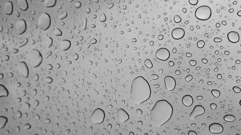 The Water Drops Resting upon a Smooth Surface Showcasing Their Beauty and Details Stock Video ...