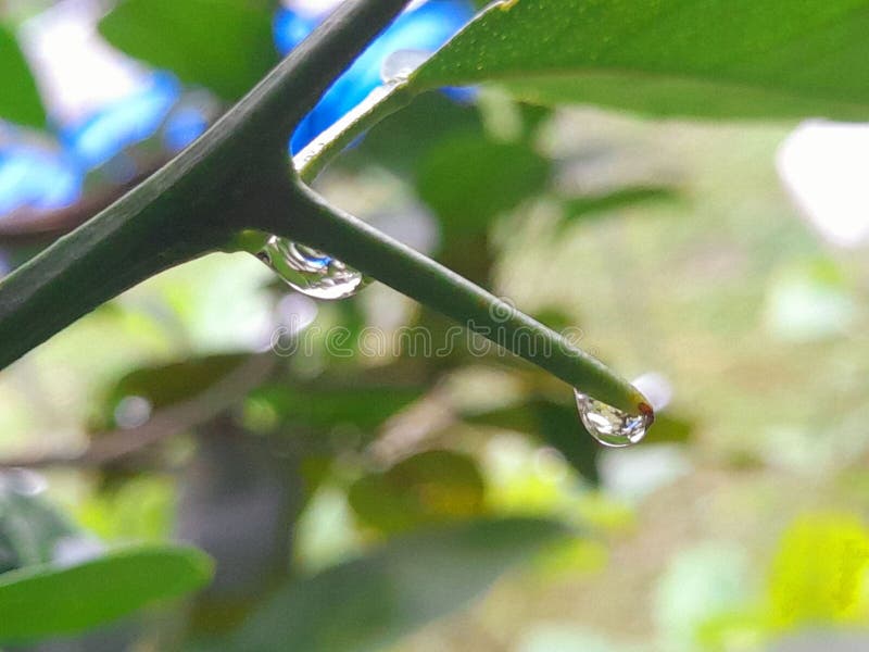 Thornswater Stock Photos - Free & Royalty-Free Stock Photos from Dreamstime