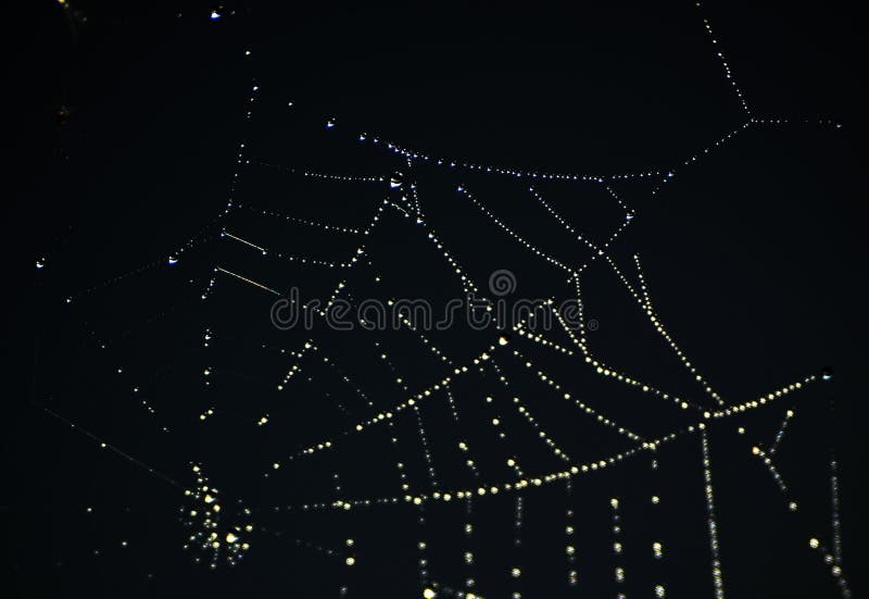 Water Drops on Spider Web on Black Background Stock Photo - Image of ...