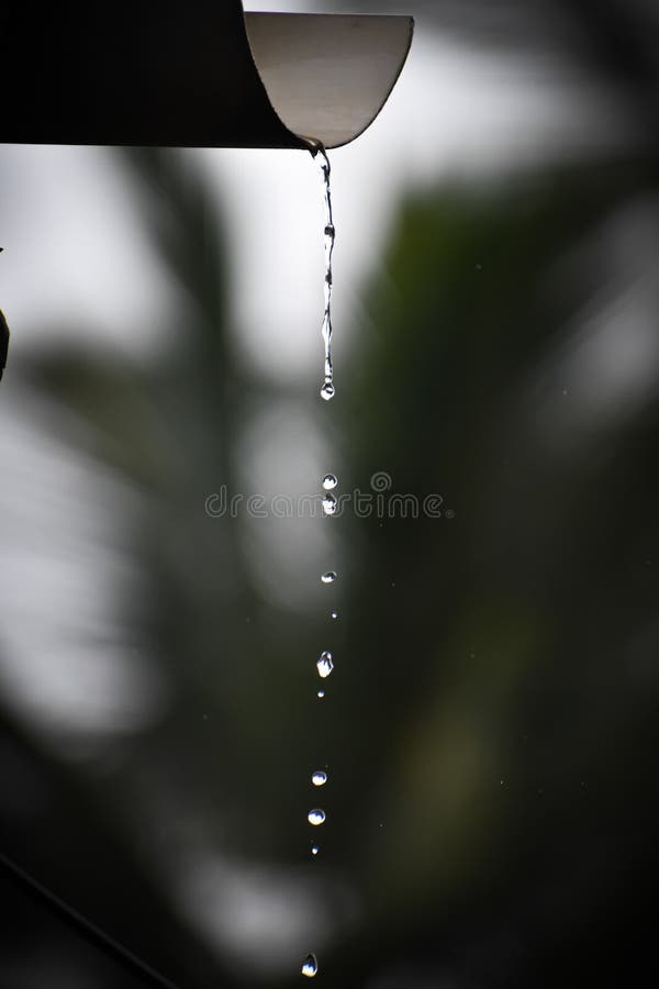 Water Drops Splashing from the Rain Water-outlet Pipe. Stock Image ...