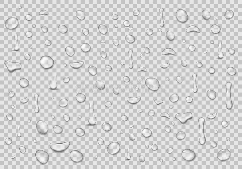 Water Drops Transparent Background. Clean Drop Condensation Stock ...