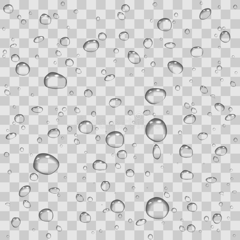 Water Drops on Transparent Background. Stock Vector - Illustration of ...