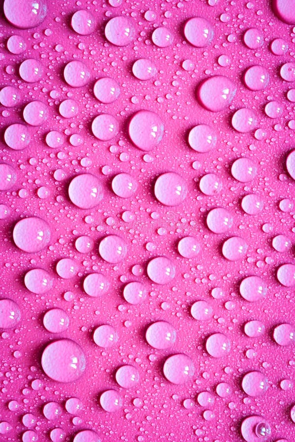 Water Drops on Violet stock photo. Image of rain, weather - 173883748