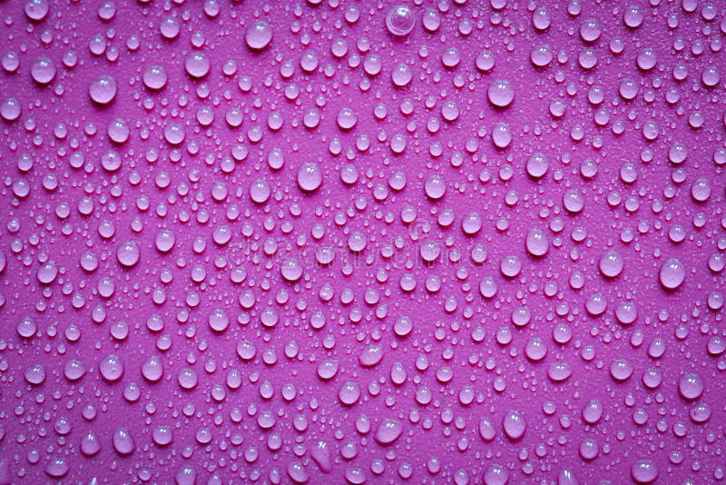Water Drops on Violet stock photo. Image of liquid, purple - 173885006