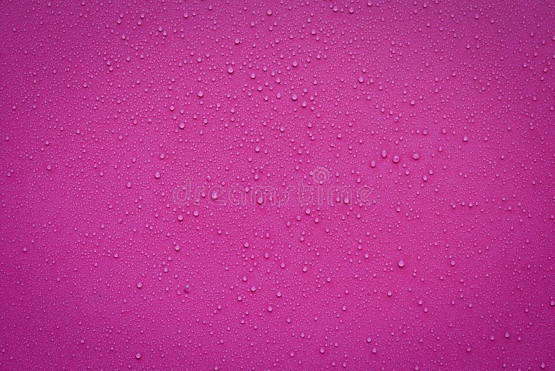 Water Drops on Violet stock photo. Image of fresh, texture - 173885674