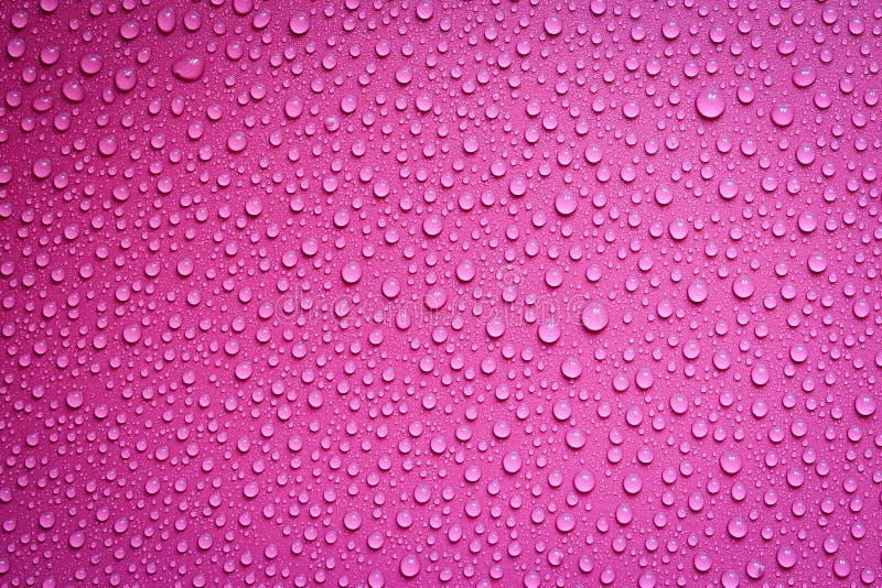 Water Drops on Violet stock photo. Image of rain, pure - 173886248