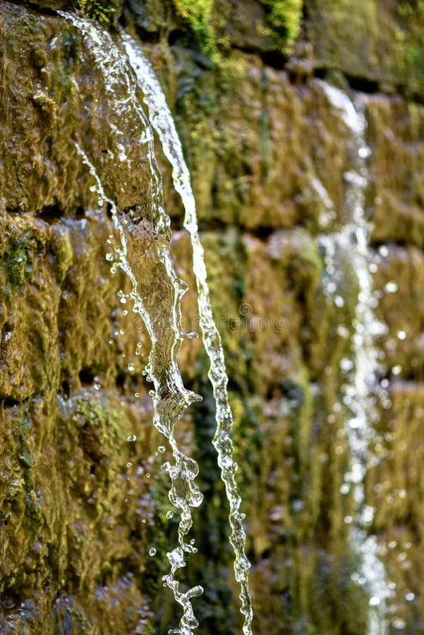Water drops stock image. Image of park, drops, wall - 110575765