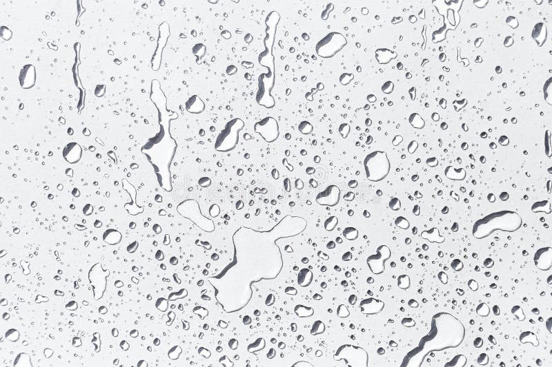 Water Drops on White Background Stock Photo - Image of drop, aqua ...