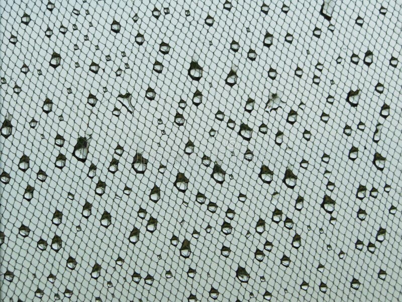 Water Drops on Window Net Mesh with Cloudy Sky on Background Stock ...