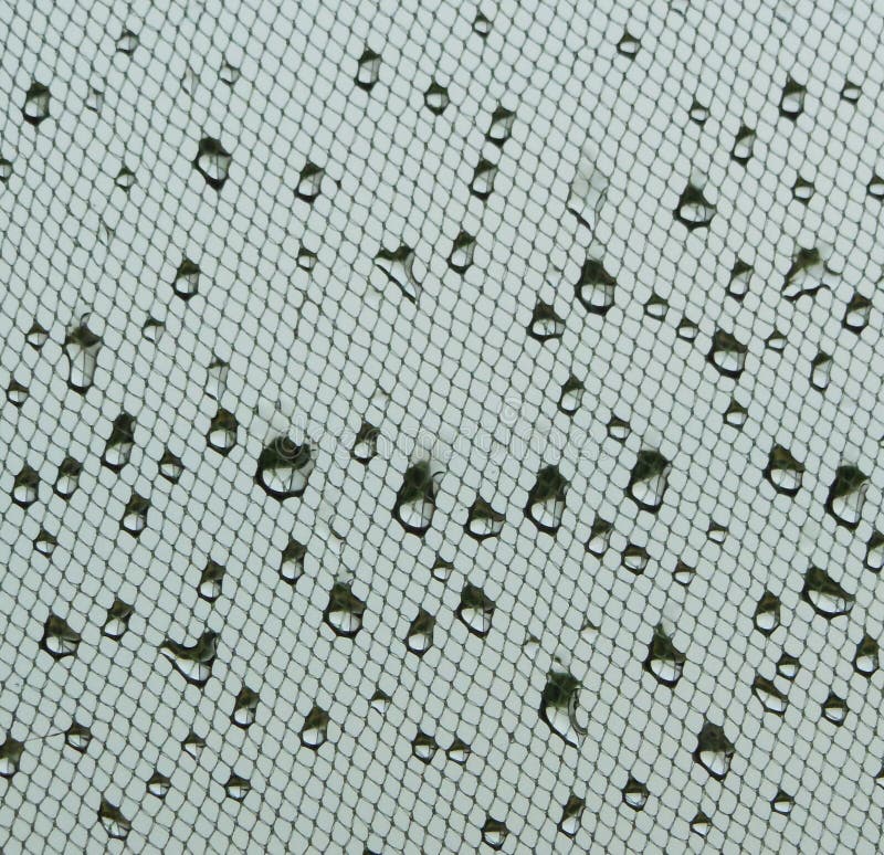 Water Drops on Window Net Mesh with Cloudy Sky on Background Stock ...