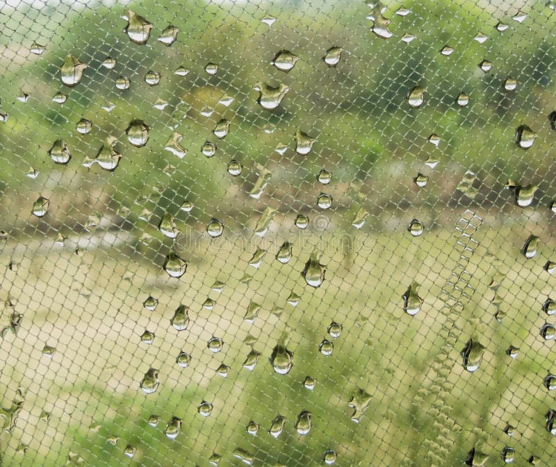 Water Drops on Window Net Mesh with Green Trees on Background Stock ...