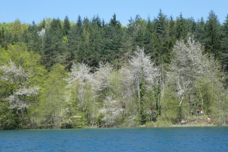 Water, Ecosystem, Nature, Tree Picture. Image: 116331301