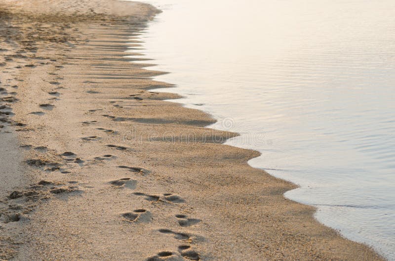 Water Edge on the Beach at the Sunset Stock Image - Image of beach ...