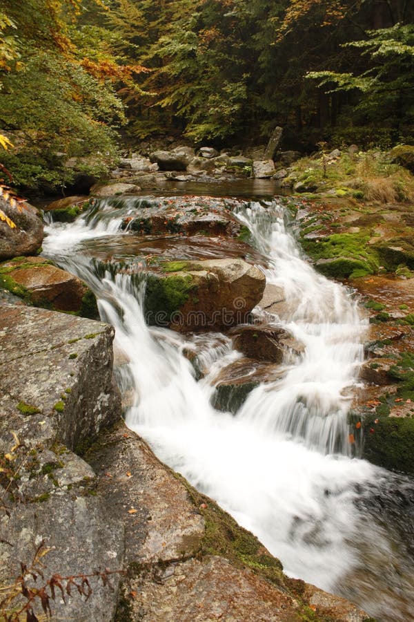 Water Element stock photo. Image of little, tree, water - 136456024