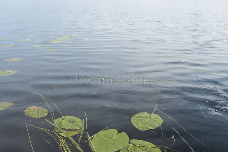 Water Environment Nature Blue Pure Water Stock Photo - Image of heaven ...