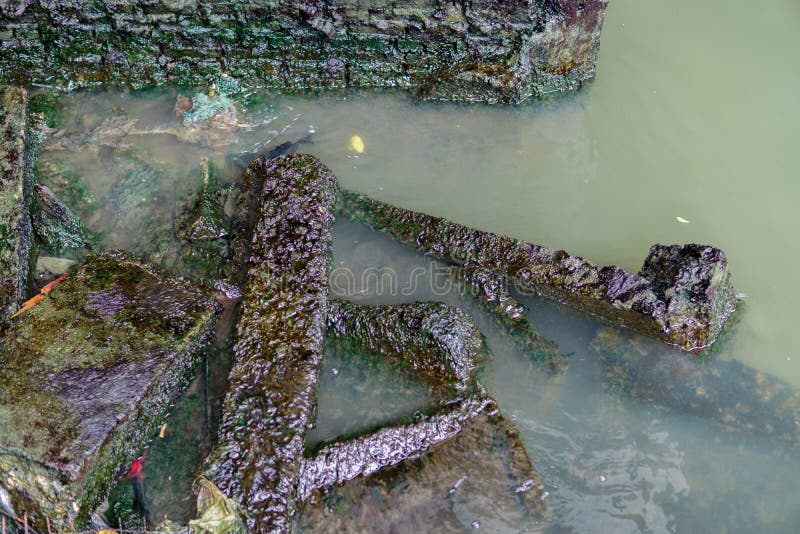 Water Environment Pollution Stock Image - Image of energy, stream ...