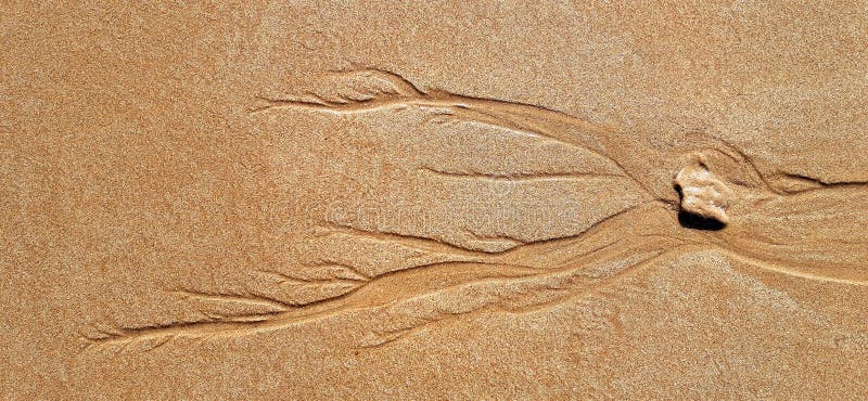 Water Eroding the Sand in the Beach Stock Image - Image of water ...