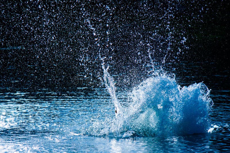 Water explosion stock photo. Image of powerful, figured - 37606644