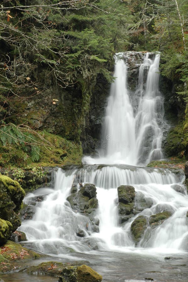 Water fall stock image. Image of nature, forest, creek - 1796569