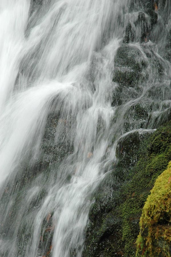 Water fall stock image. Image of nature, forest, creek - 1796569