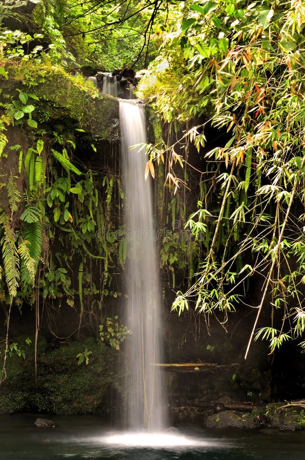 Water Fall: White Water In Flow Stock Image - Image of green, crystal ...