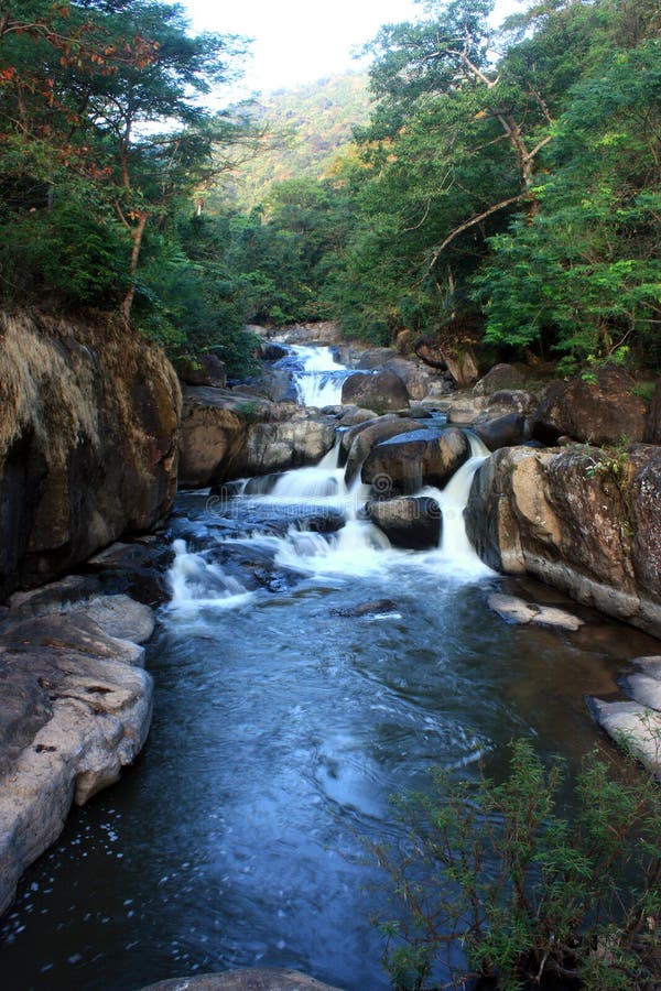 Water fall stock image. Image of tree, forest, travel - 22264983