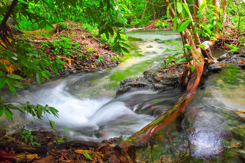 Water fall stock image. Image of creek, outdoor, carpathian - 23892703