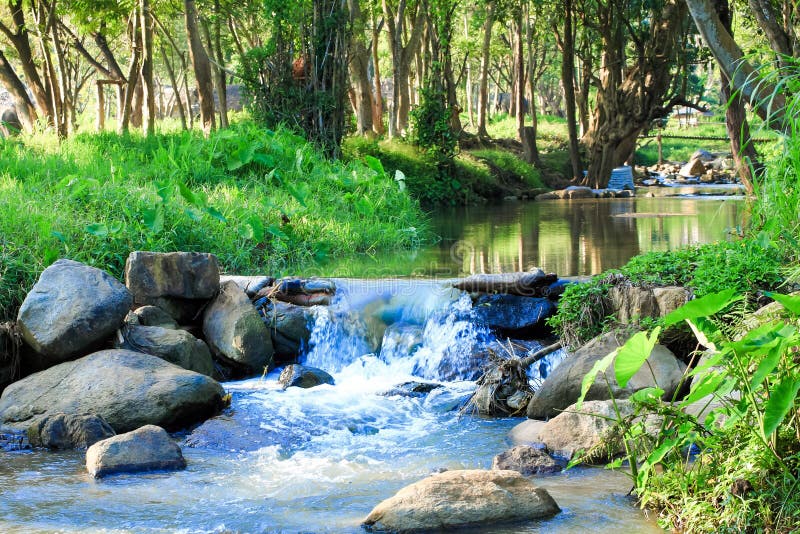 Water fall stock photo. Image of forest, tree, raineer - 38312570